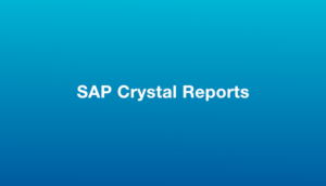 Crystal Reportsの競合解消 | muchbow